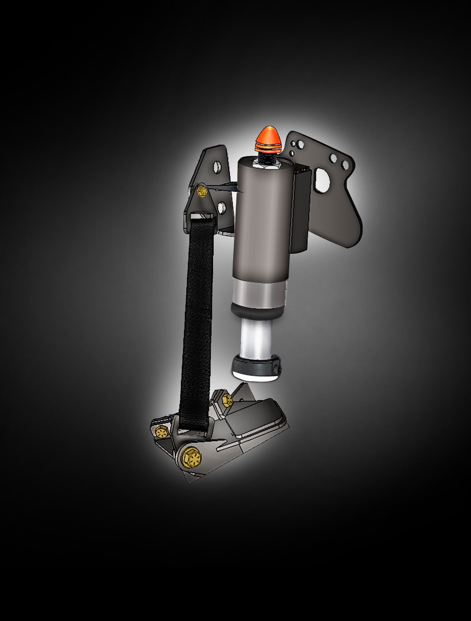 Gen 2 Raptor Front Limit Strap and Bump Stop Kit for Stock Lower A-Arm ...